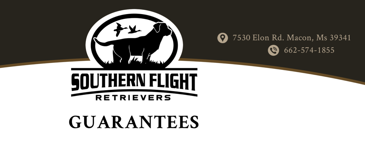 Health Guarantee - Southern Flight Retrievers